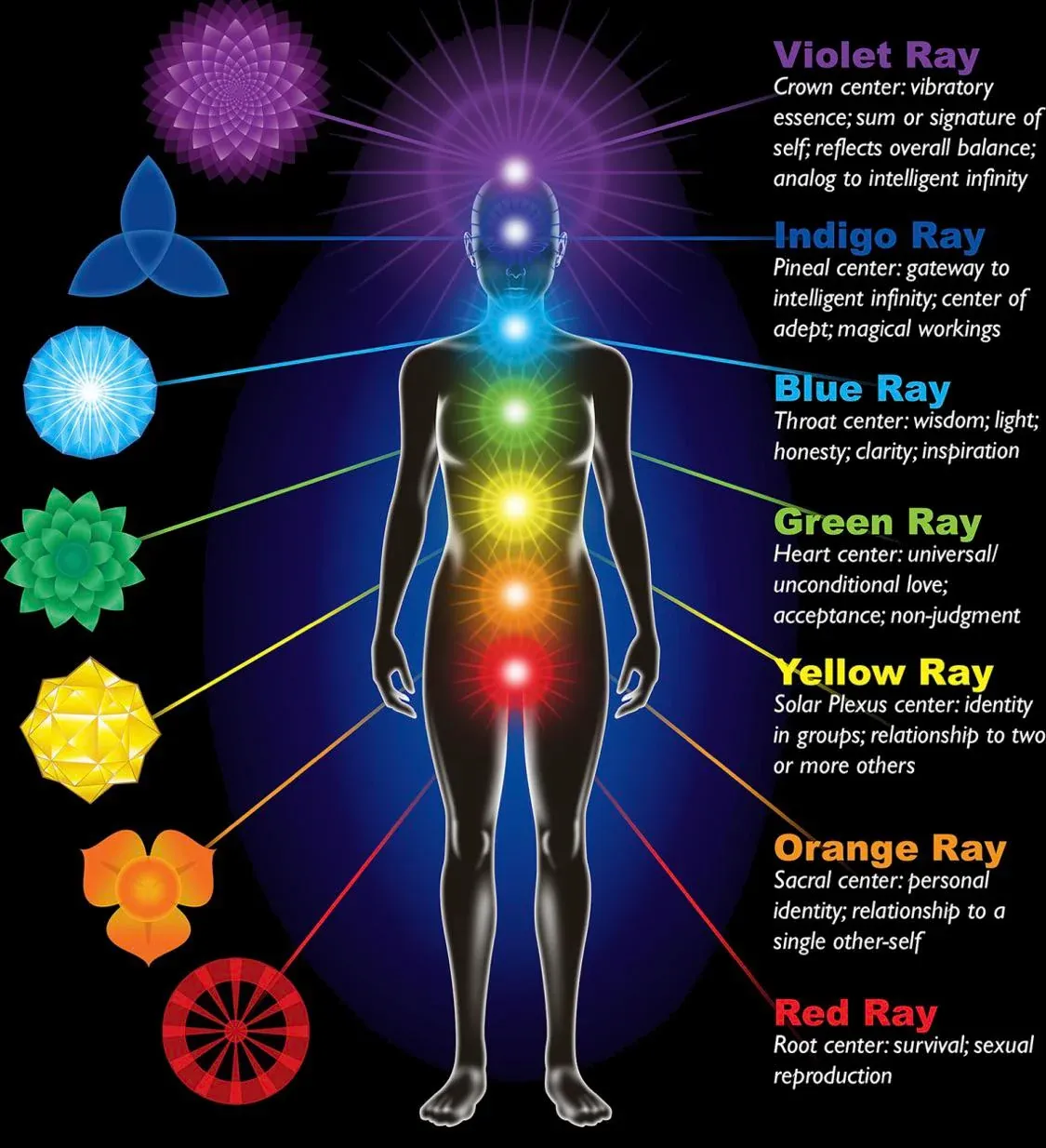 Law of One: The Soul's Journey Through the 7 Densities [Part 1]